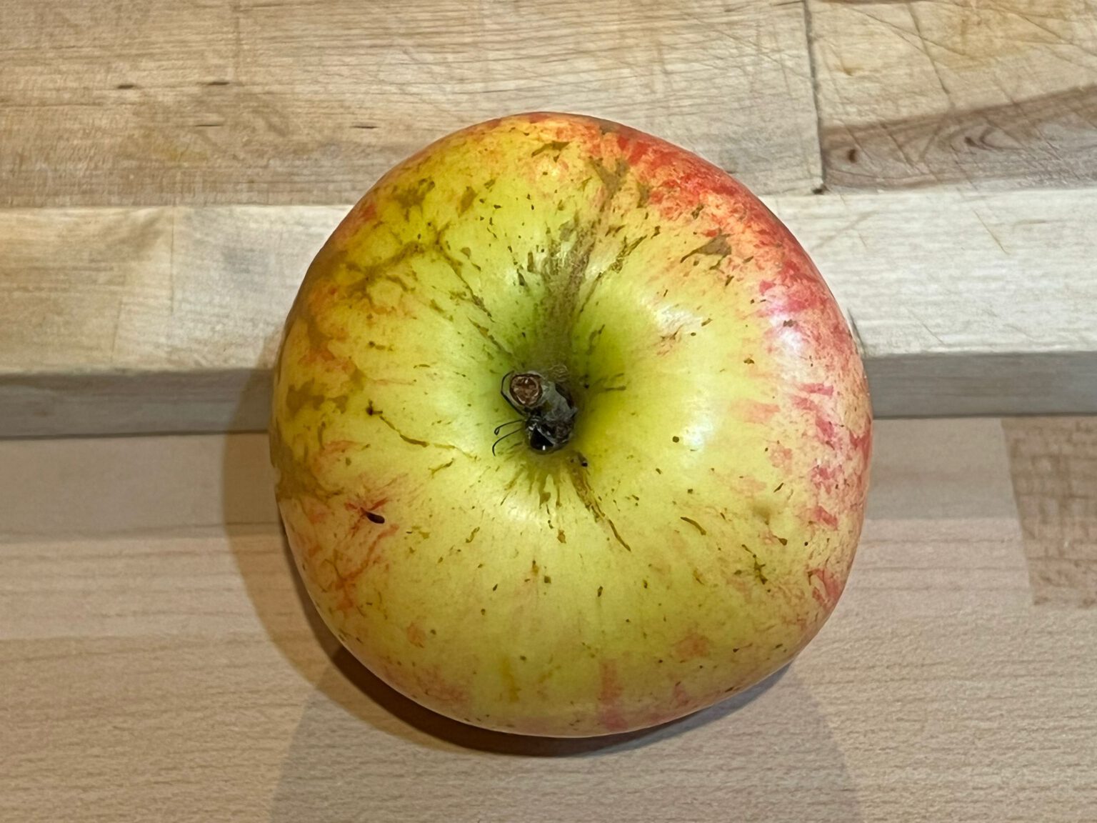 Spartan – Obst Hoffnung