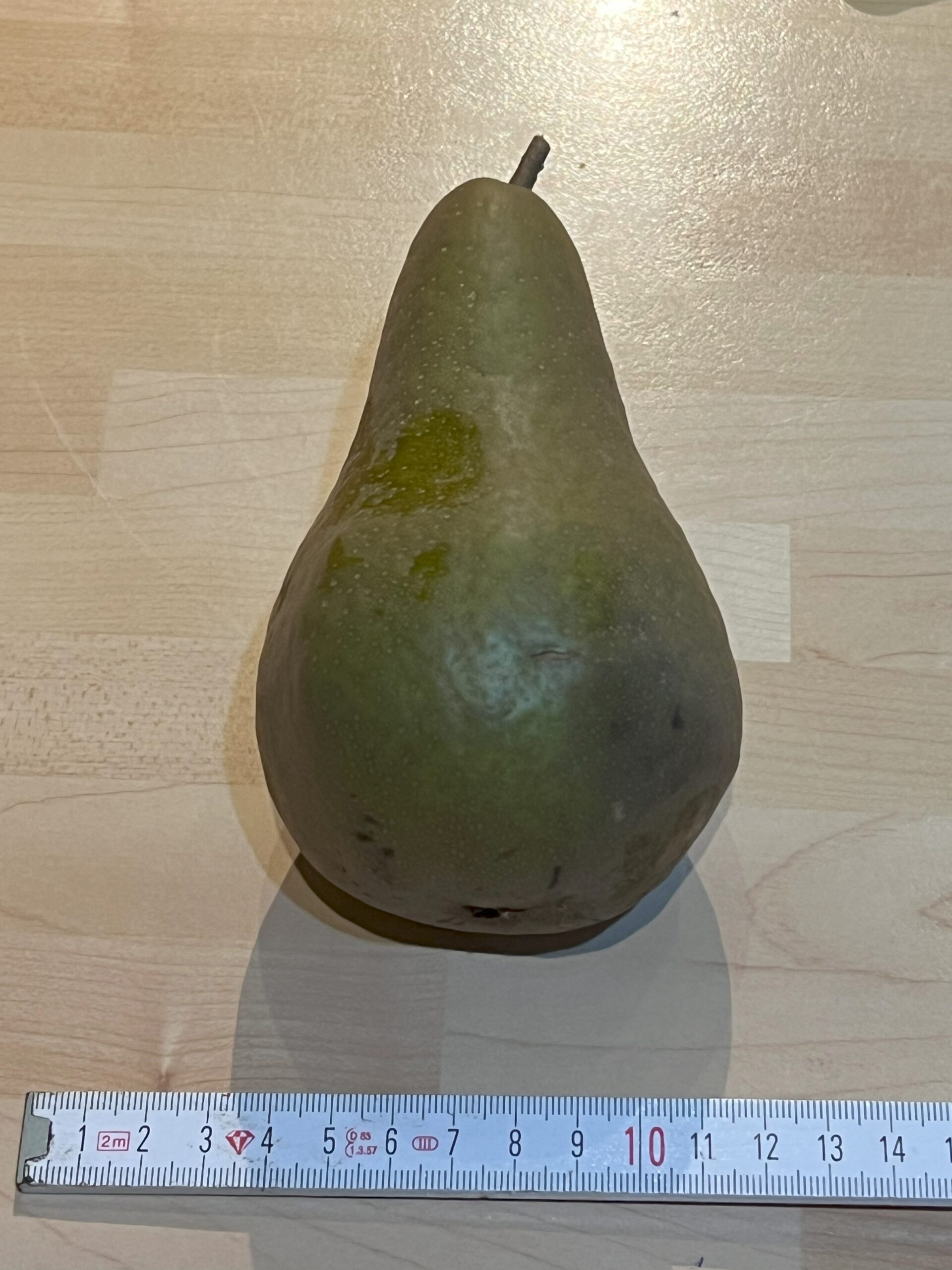 Boscs Flaschenbirne – Obst Hoffnung