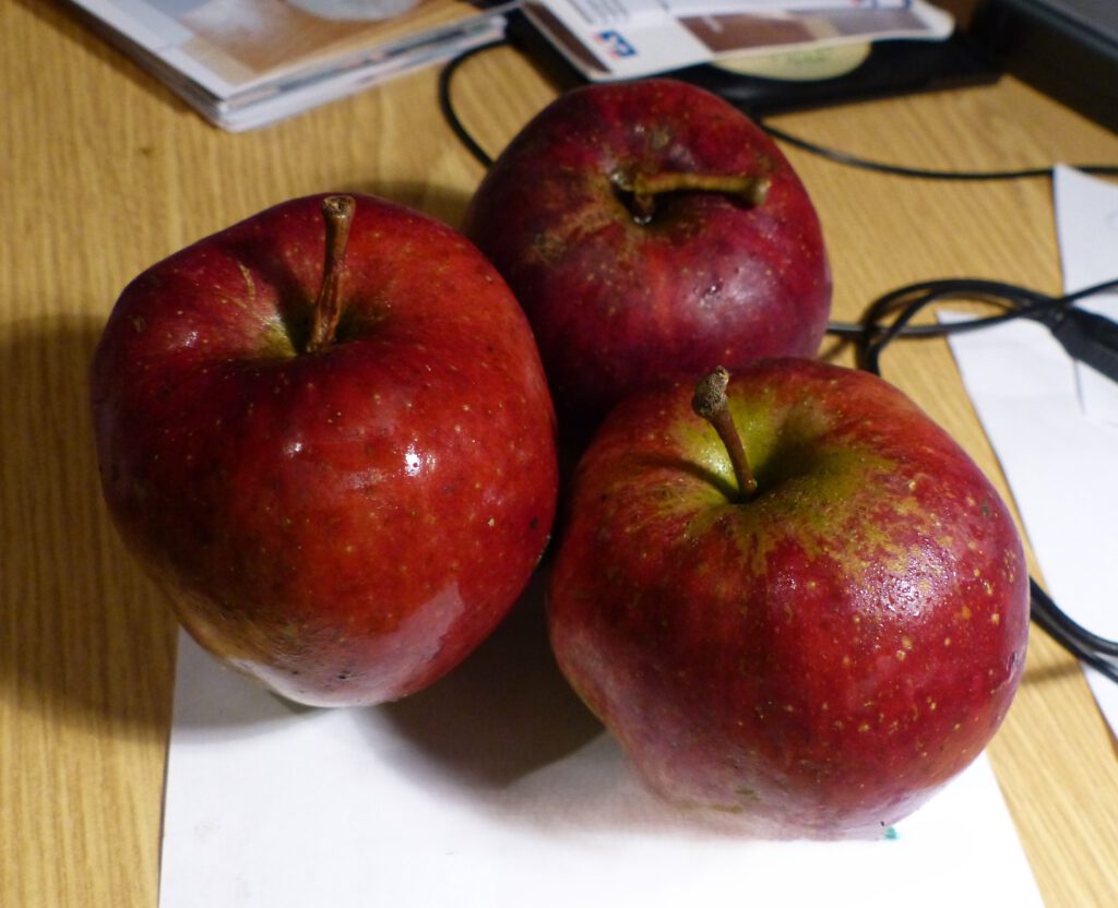 Gloster – Obst Hoffnung