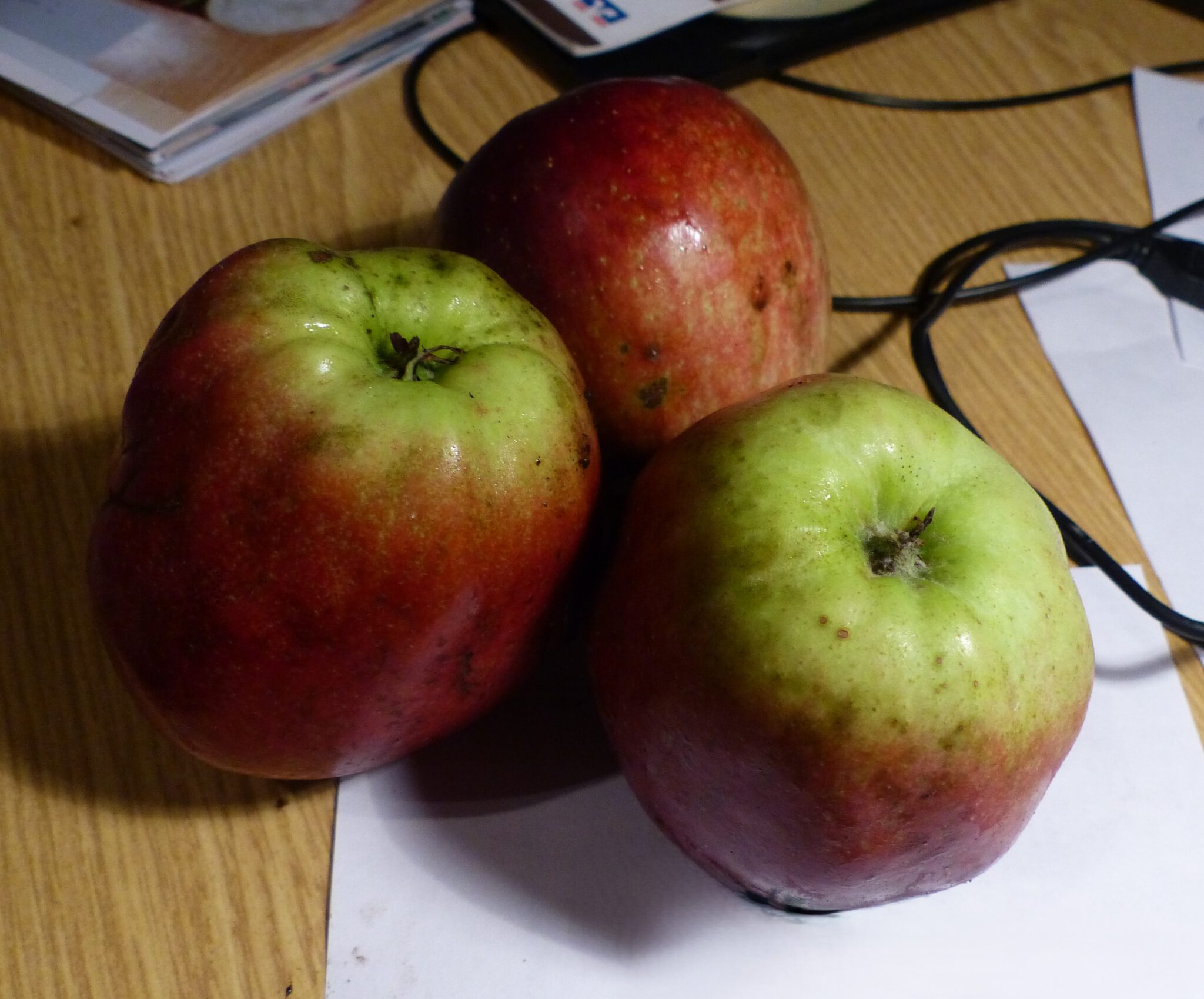 Gloster – Obst Hoffnung