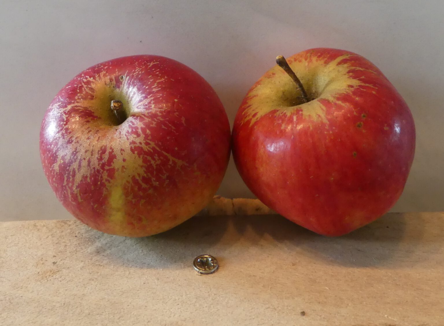 Jonathan – Obst Hoffnung